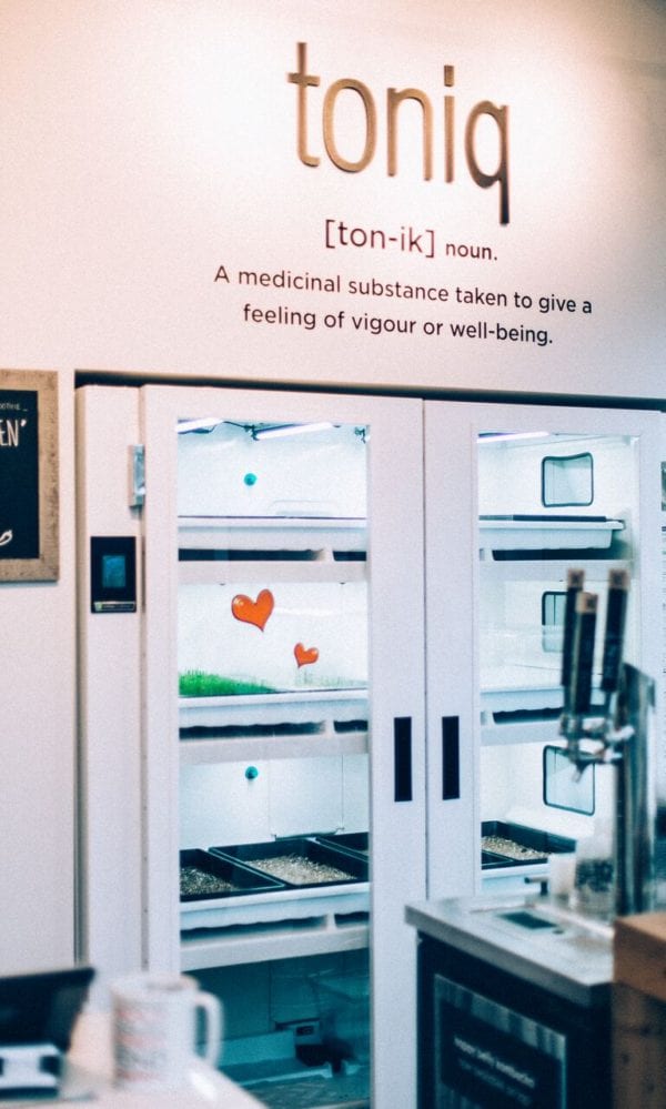 Toniq Canmore - SIMPLY TIRA